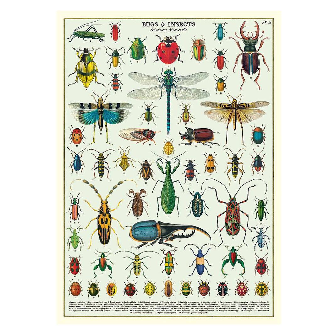 Insects Wrap – Zakka Joy